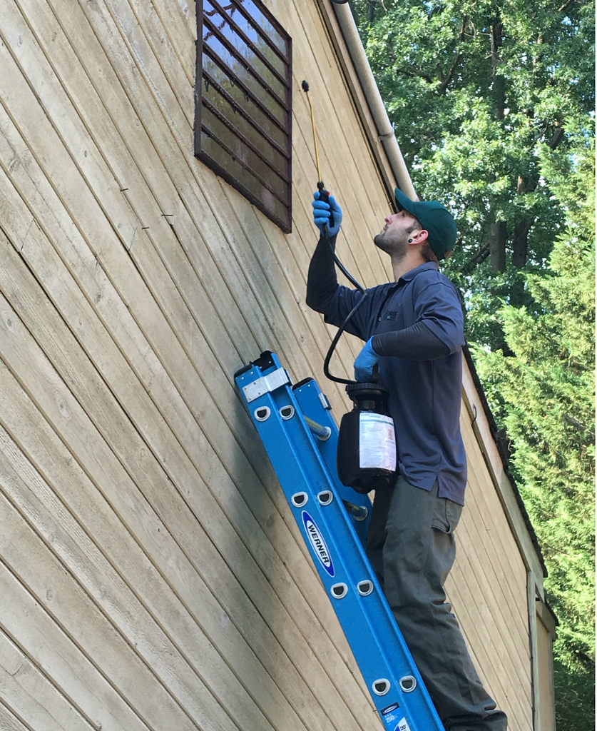 Home - 1st Call Pest Control